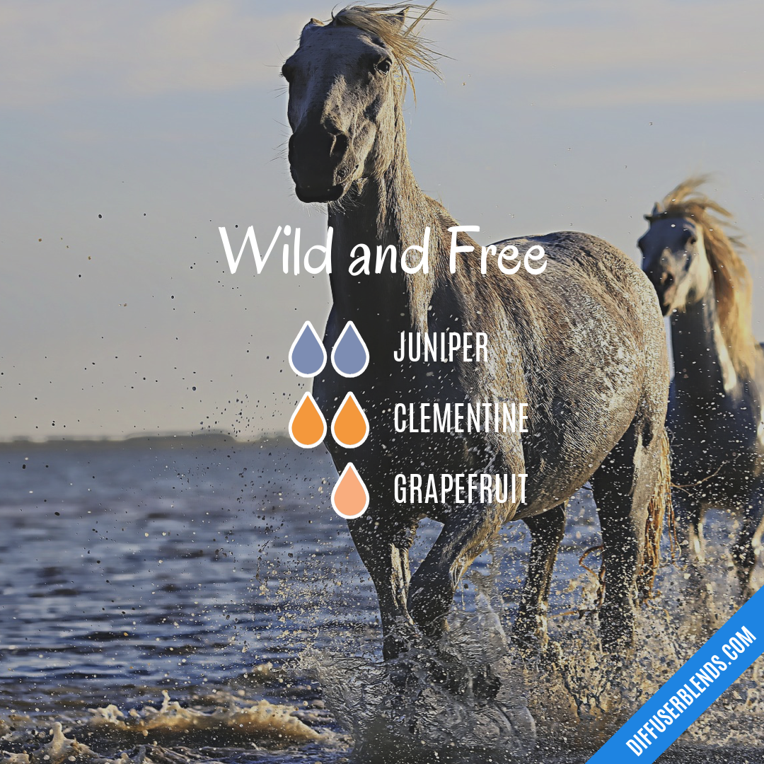 Wild and Free | DiffuserBlends.com