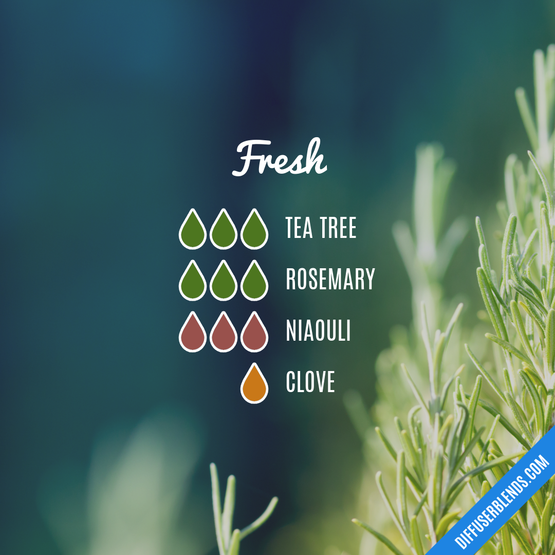 Fresh | DiffuserBlends.com