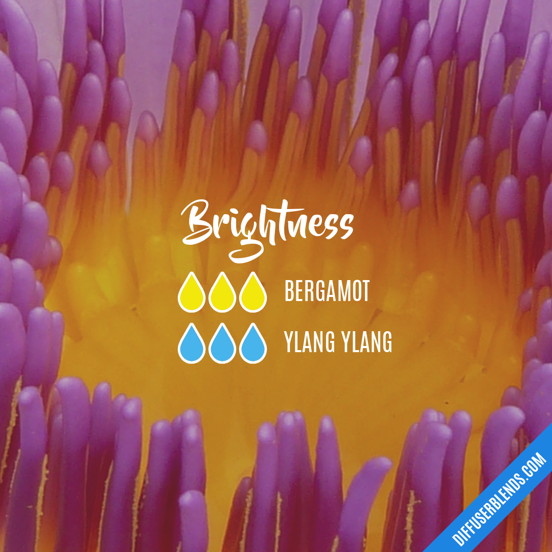 Brightness | DiffuserBlends.com