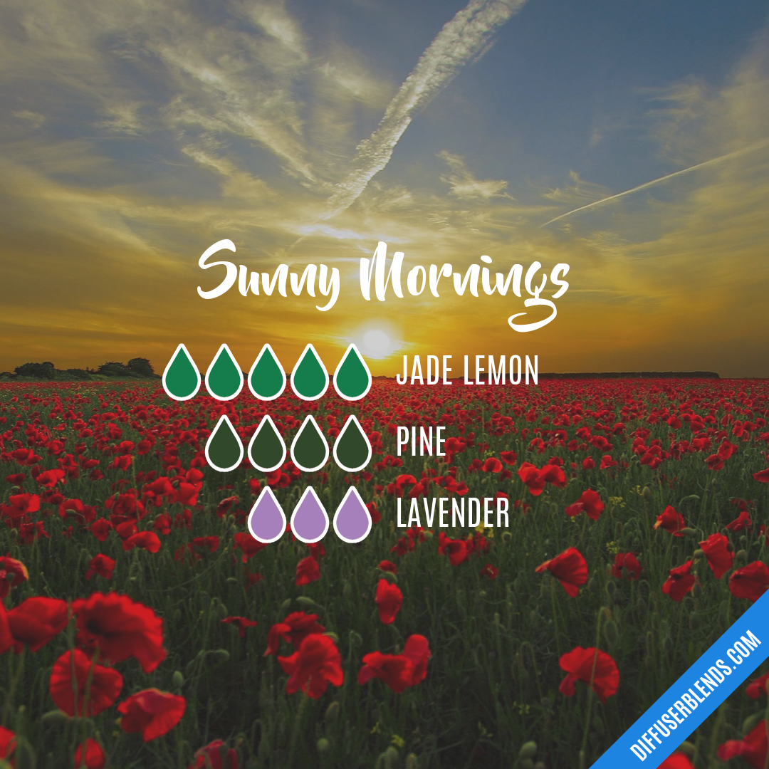 Sunny Mornings | DiffuserBlends.com