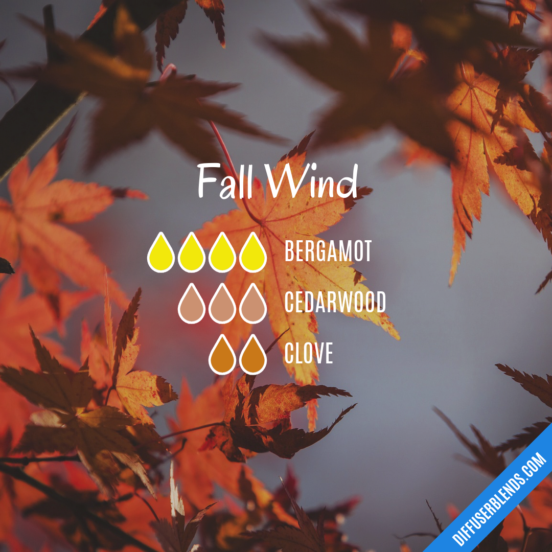 Fall Wind | DiffuserBlends.com
