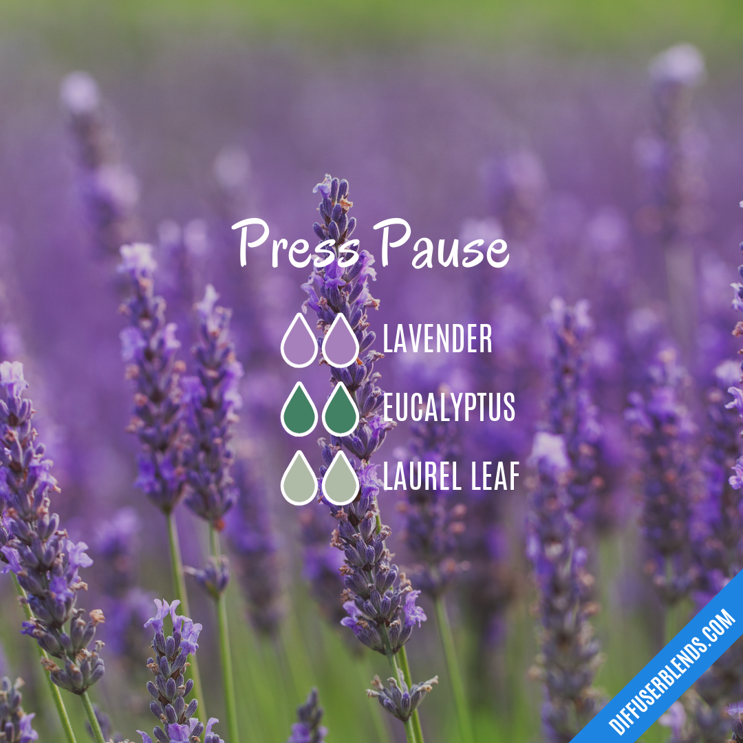 Press Pause | DiffuserBlends.com
