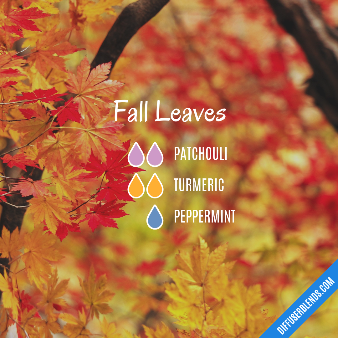 Fall Leaves | DiffuserBlends.com