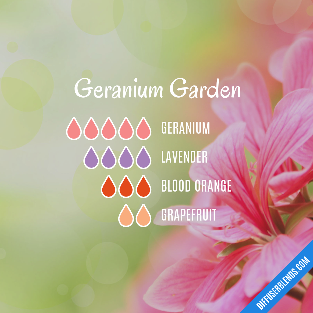 Geranium Garden | DiffuserBlends.com
