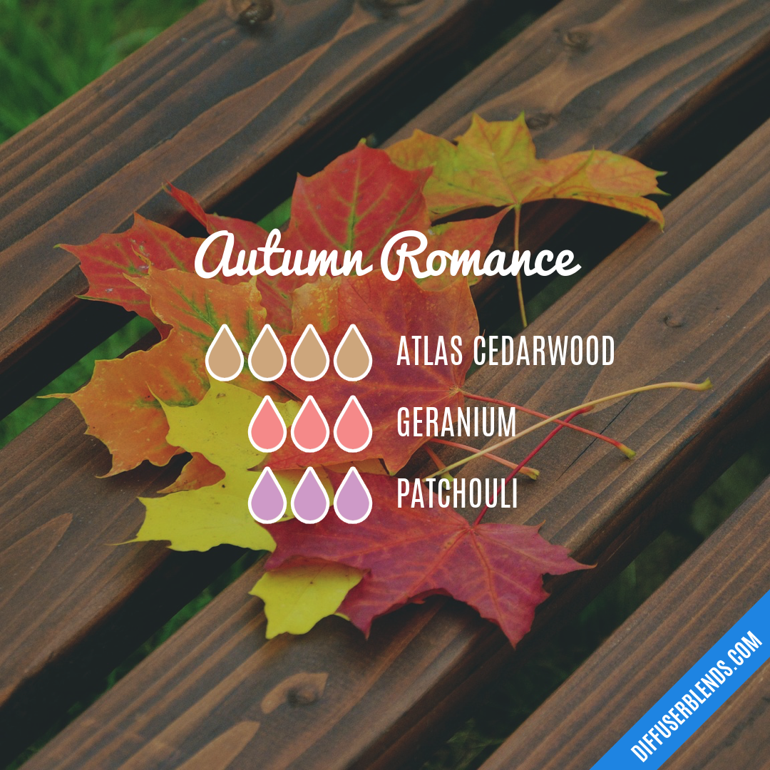 Autumn Romance | DiffuserBlends.com