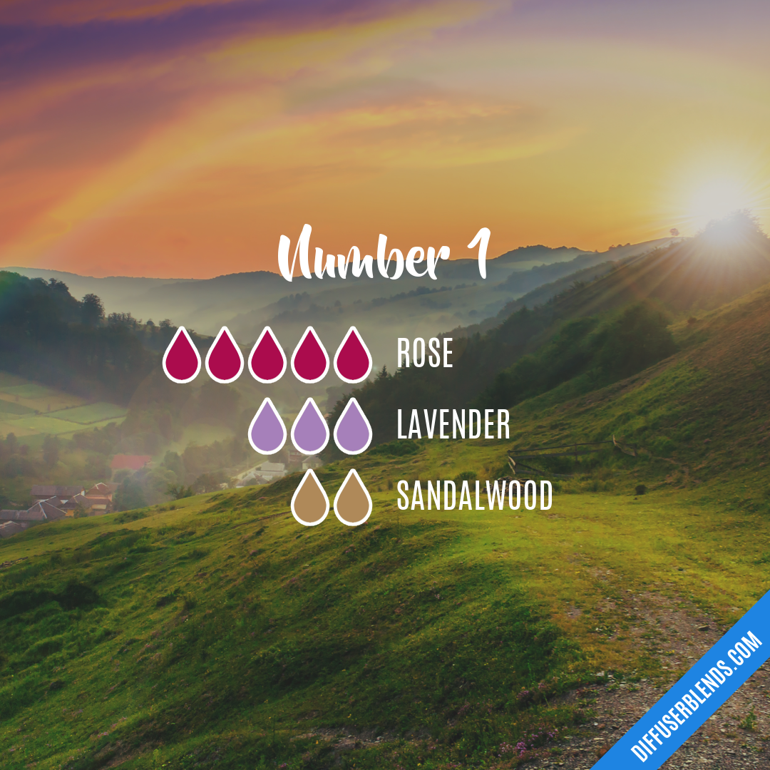 Number 1 | DiffuserBlends.com