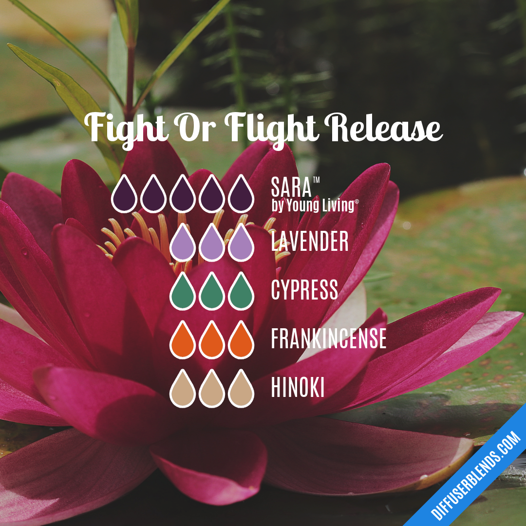 Fight Or Flight Release | DiffuserBlends.com