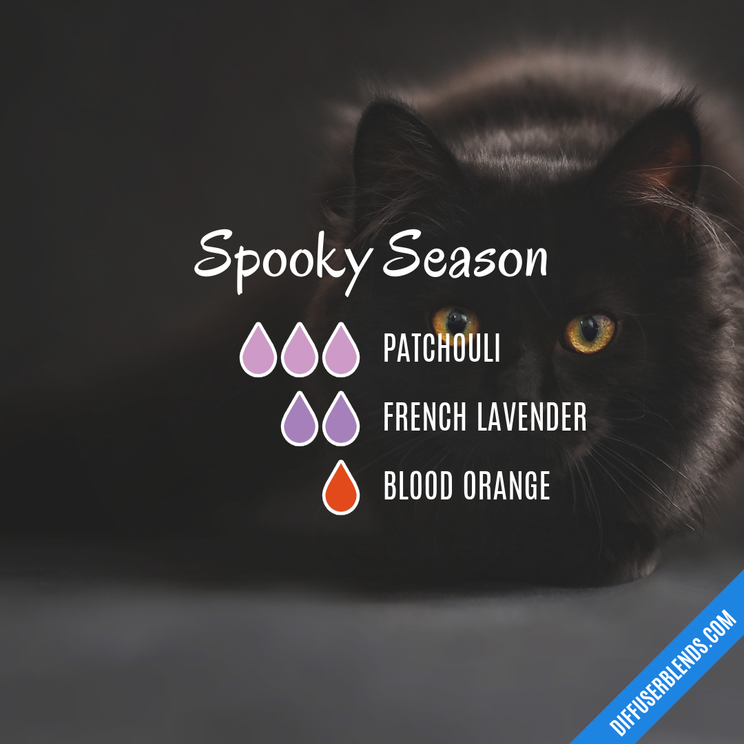 Spooky Season | DiffuserBlends.com