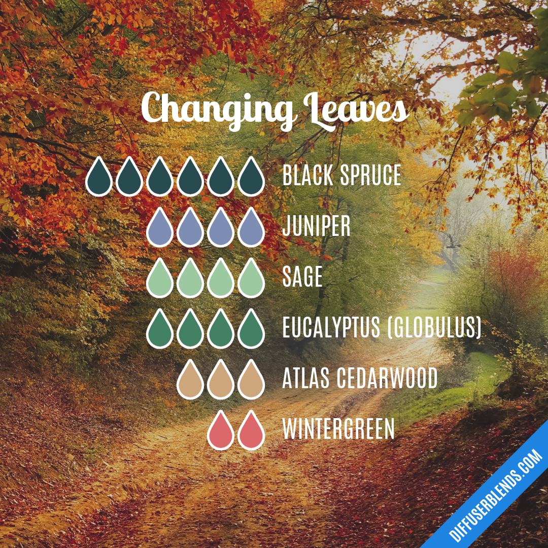 Changing Leaves | DiffuserBlends.com