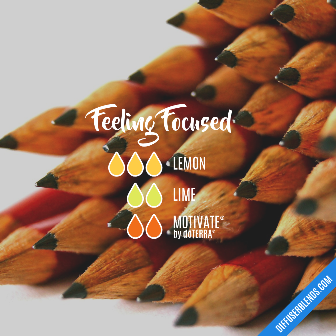 Feeling Focused | DiffuserBlends.com