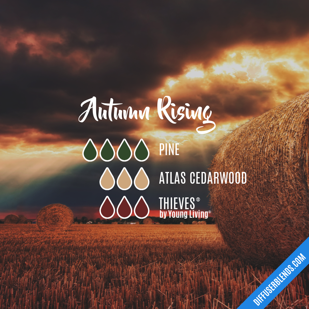 Autumn Rising | DiffuserBlends.com