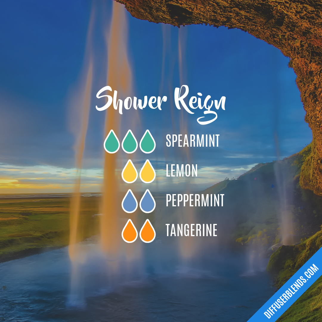 Shower Reign | DiffuserBlends.com