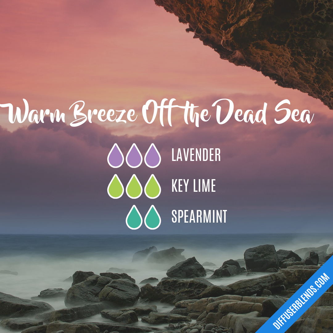 Warm Breeze Off the Dead Sea | DiffuserBlends.com