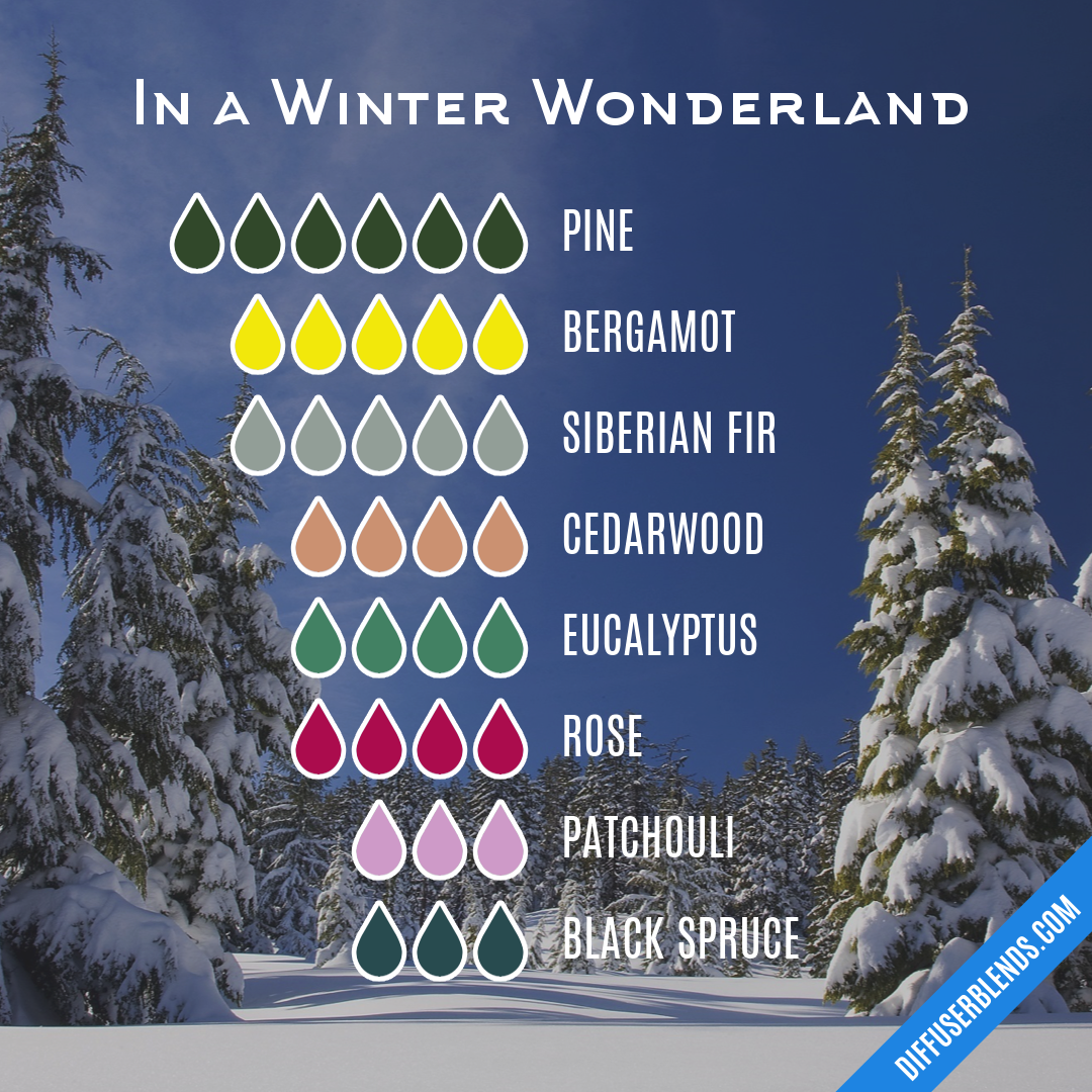 In a Winter Wonderland | DiffuserBlends.com