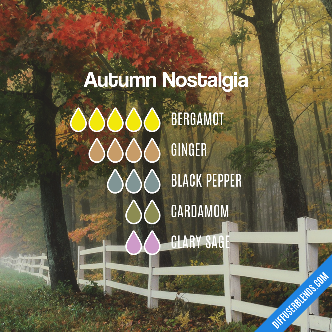 Autumn Nostalgia | DiffuserBlends.com