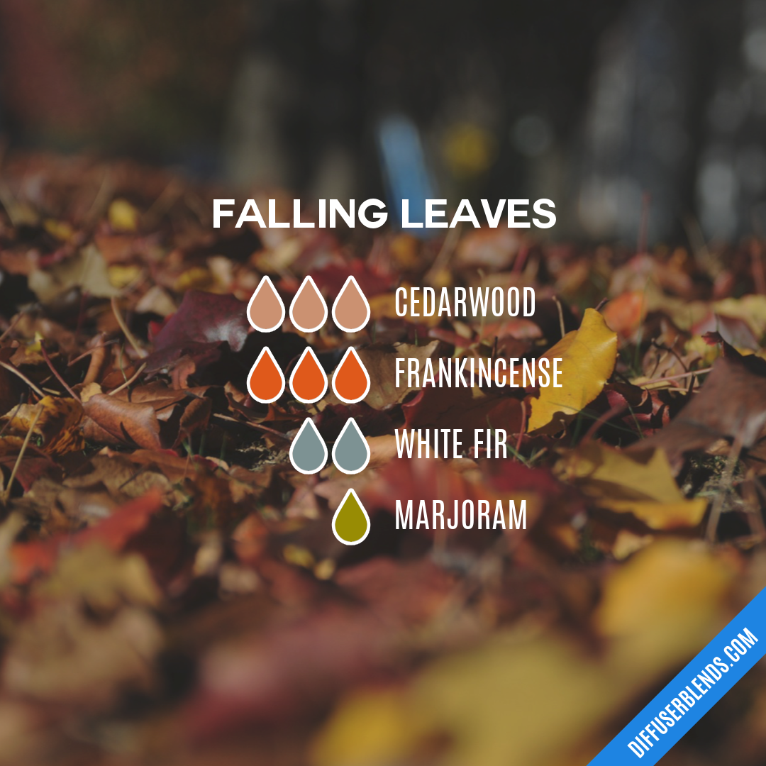 Falling Leaves | DiffuserBlends.com