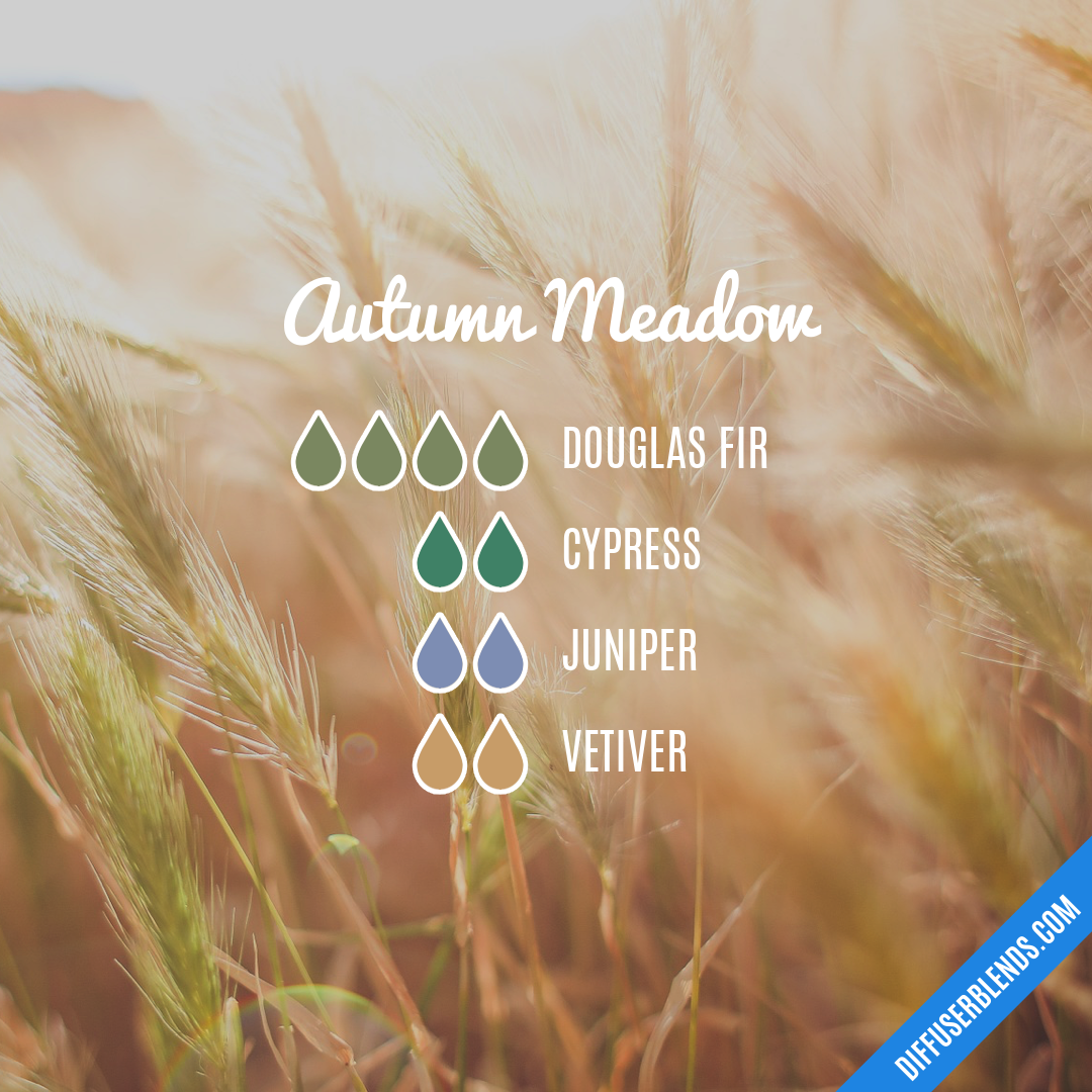 Autumn Meadow | DiffuserBlends.com