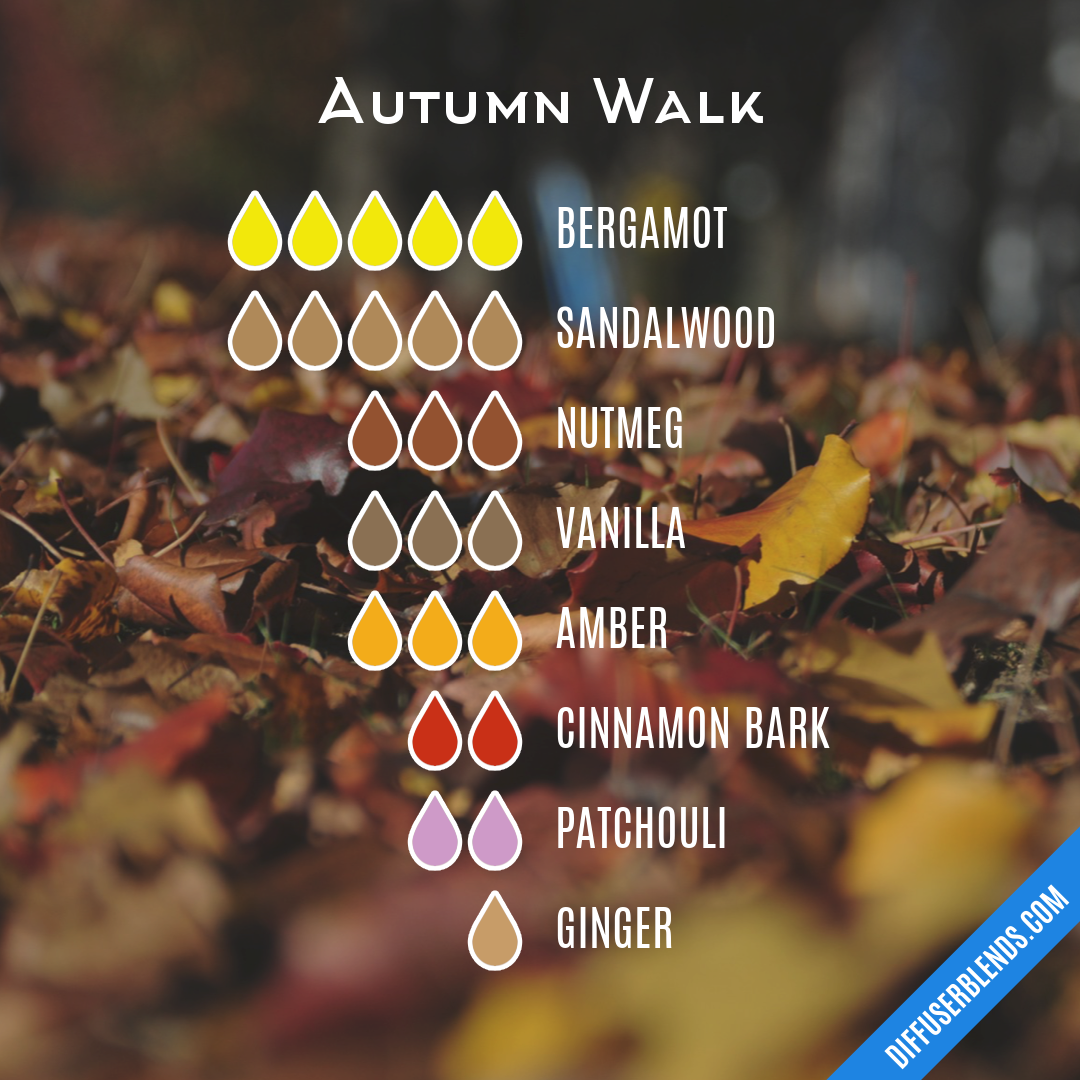 Autumn Walk | DiffuserBlends.com