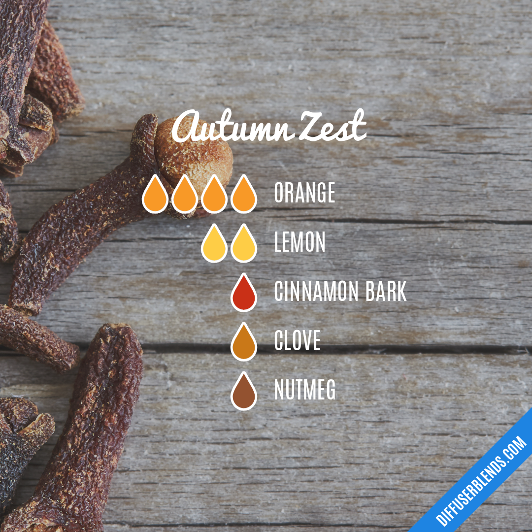 Autumn Zest | DiffuserBlends.com