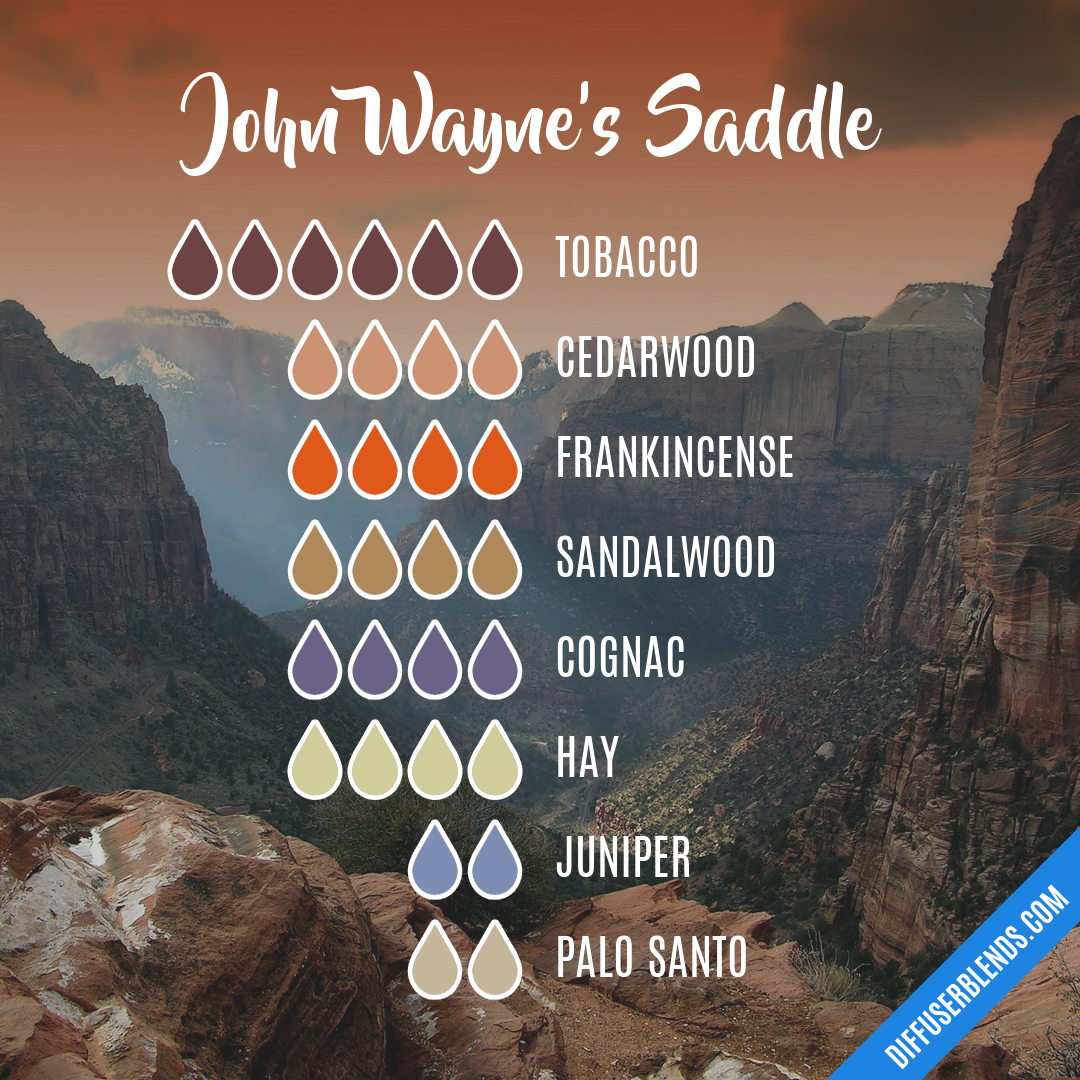 John Wayne's Saddle | DiffuserBlends.com