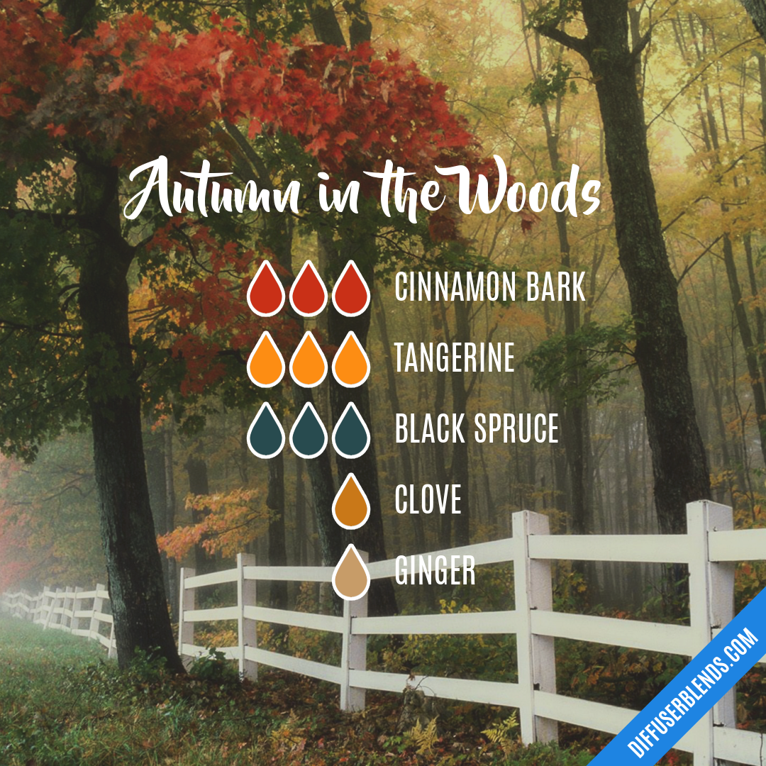 Autumn in the Woods | DiffuserBlends.com