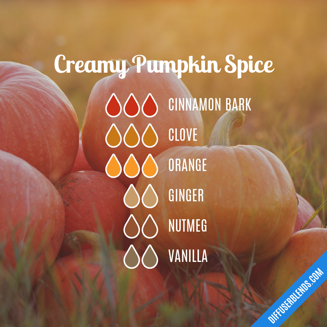 Creamy Pumpkin Spice | DiffuserBlends.com