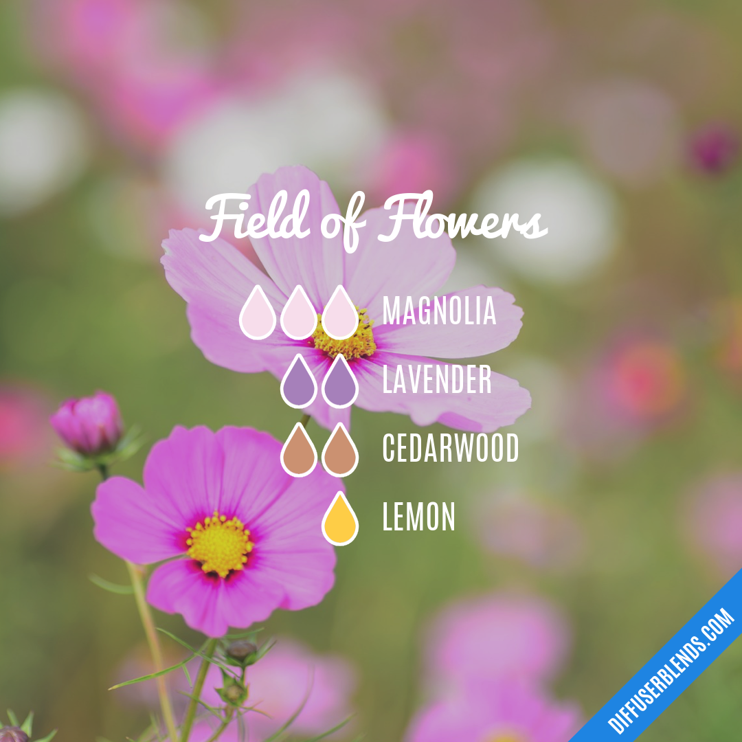 Field of Flowers | DiffuserBlends.com