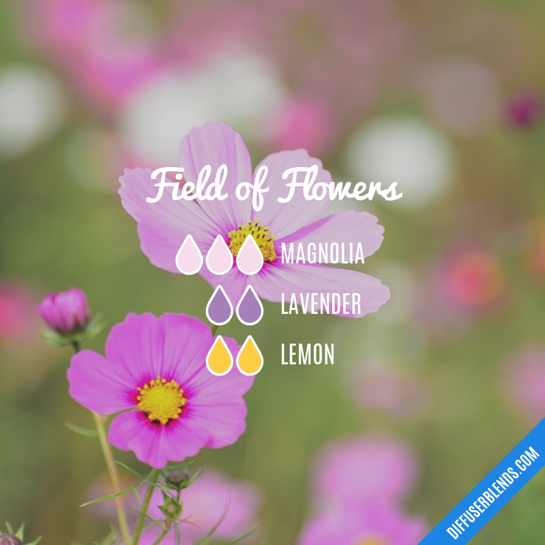 Field of Flowers | DiffuserBlends.com