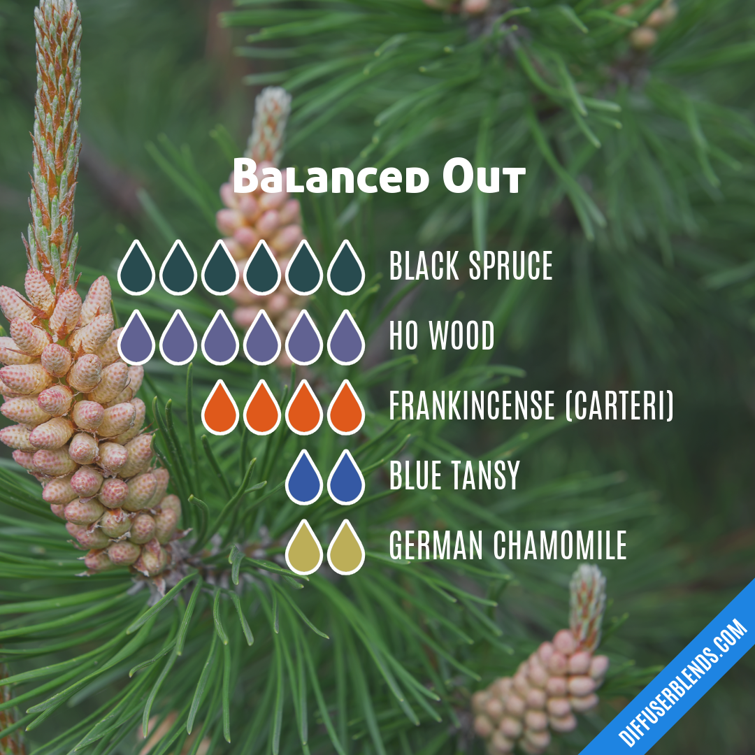 Balanced Out | DiffuserBlends.com