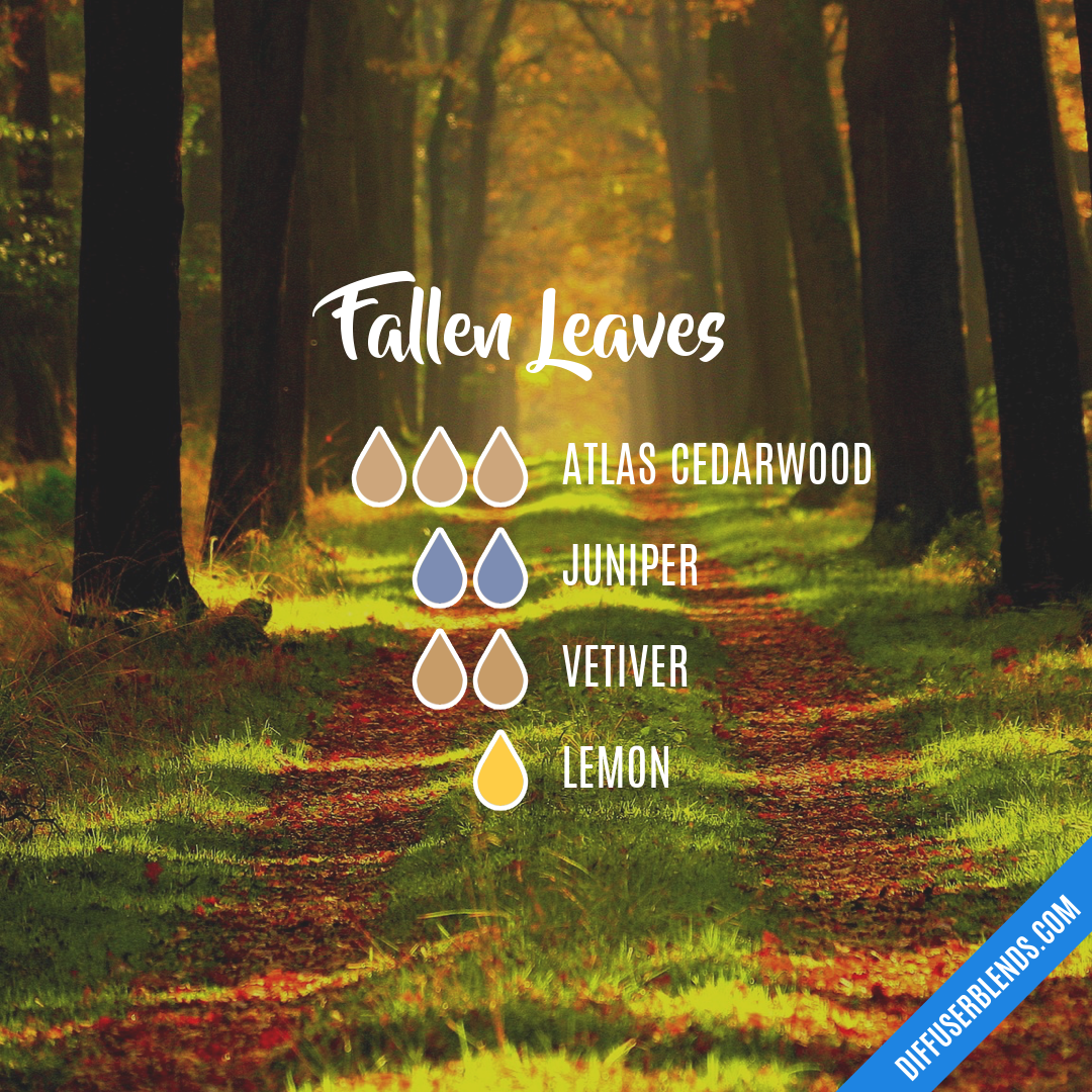 Fallen Leaves | DiffuserBlends.com