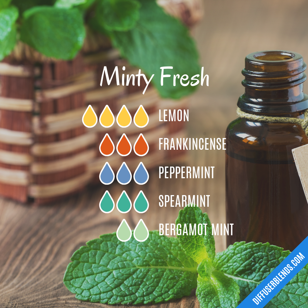 Minty Fresh | DiffuserBlends.com
