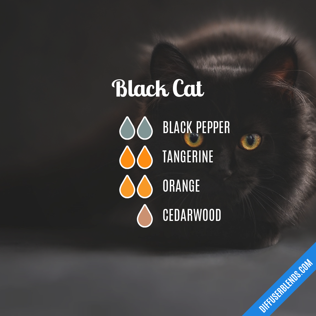 Black Cat | DiffuserBlends.com