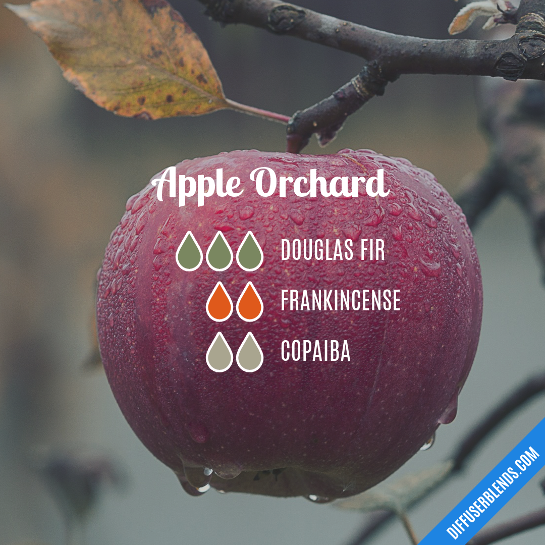 Apple Orchard | DiffuserBlends.com