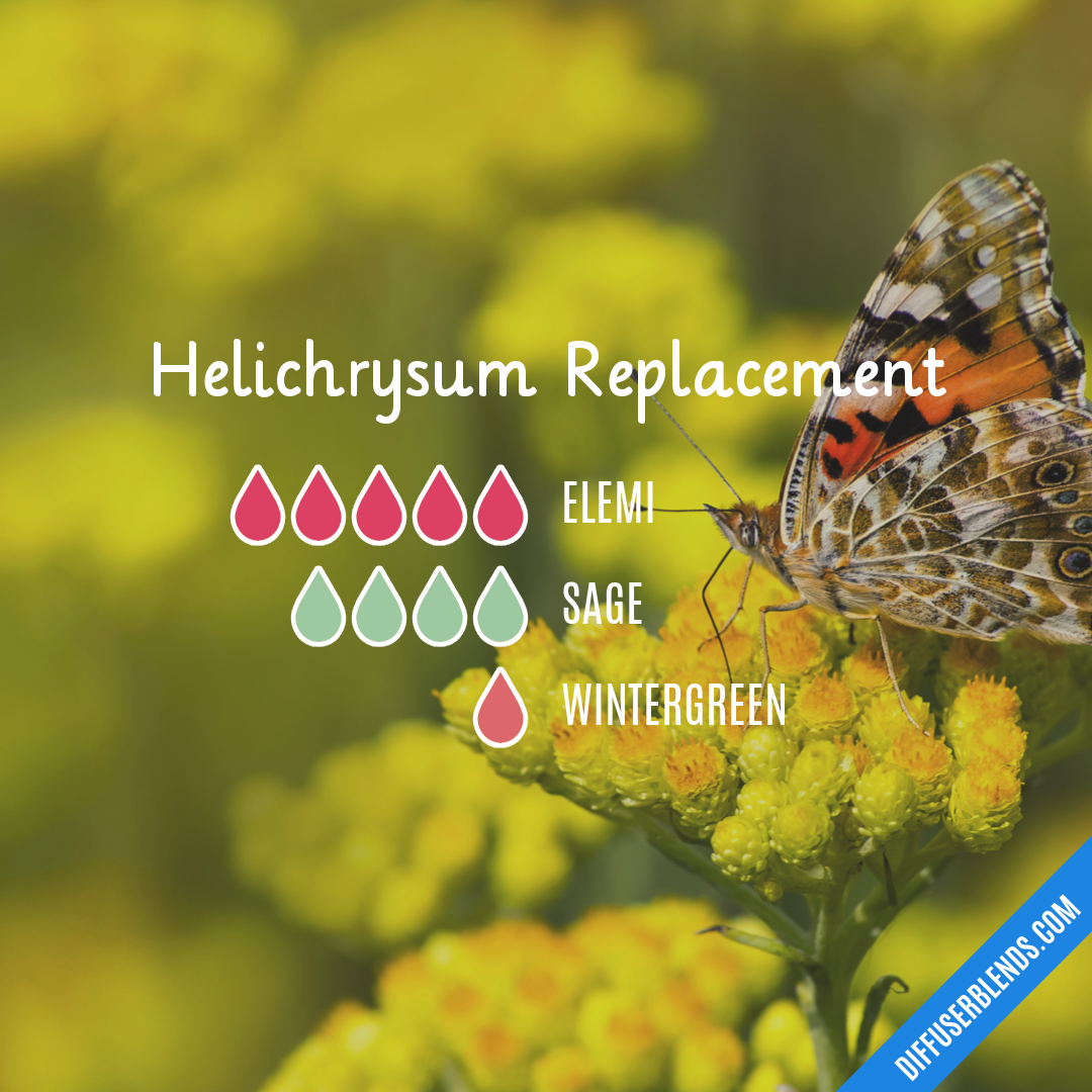 Helichrysum Replacement | DiffuserBlends.com
