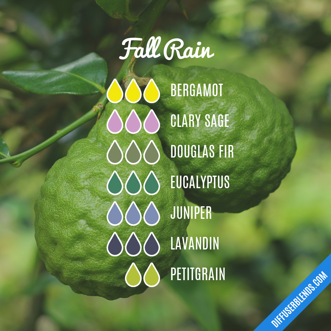 Fall Rain | DiffuserBlends.com