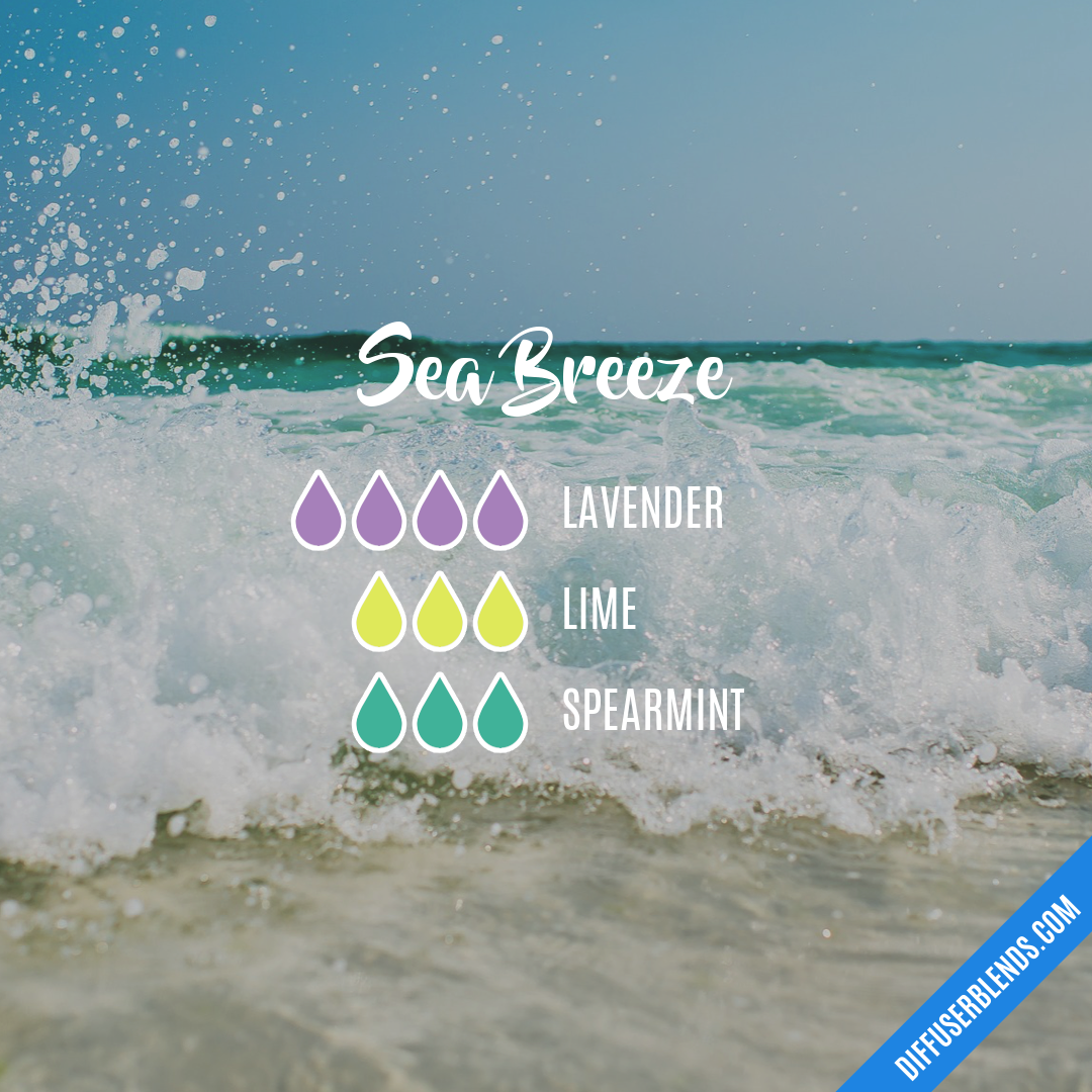Sea Breeze | DiffuserBlends.com