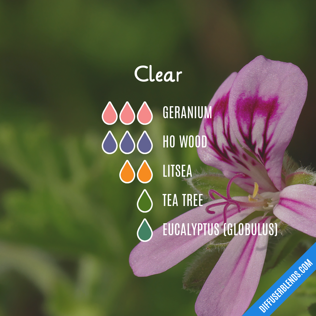 Clear | DiffuserBlends.com