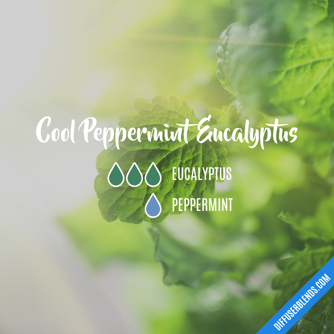 Cool Peppermint Eucalyptus | DiffuserBlends.com