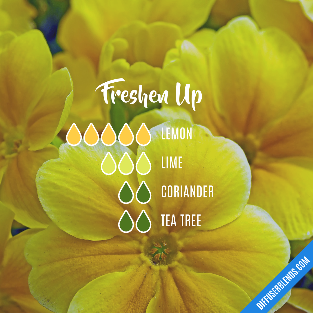 Freshen Up | DiffuserBlends.com