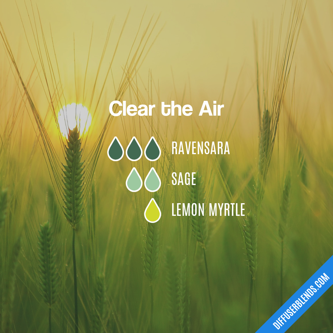 Clear the Air | DiffuserBlends.com