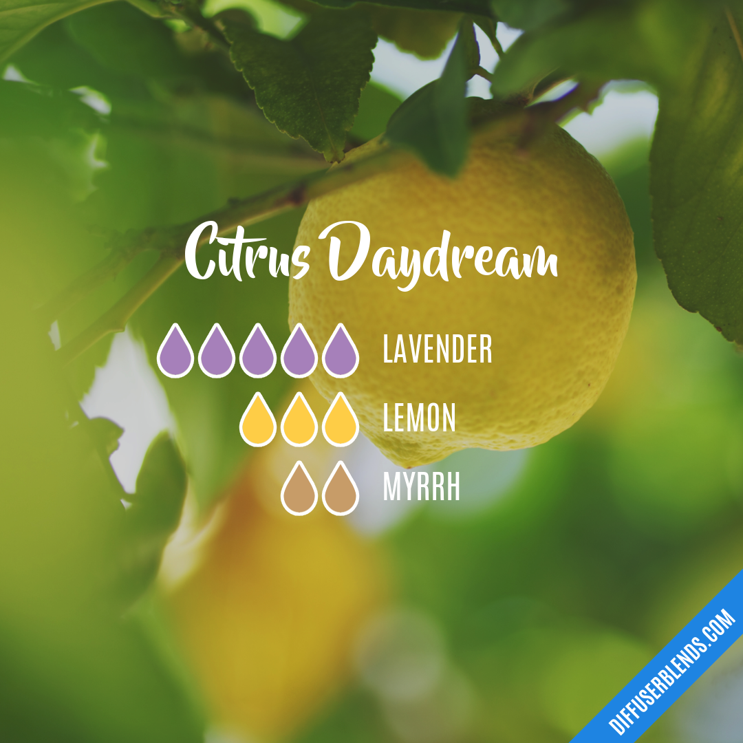Citrus Daydream | DiffuserBlends.com