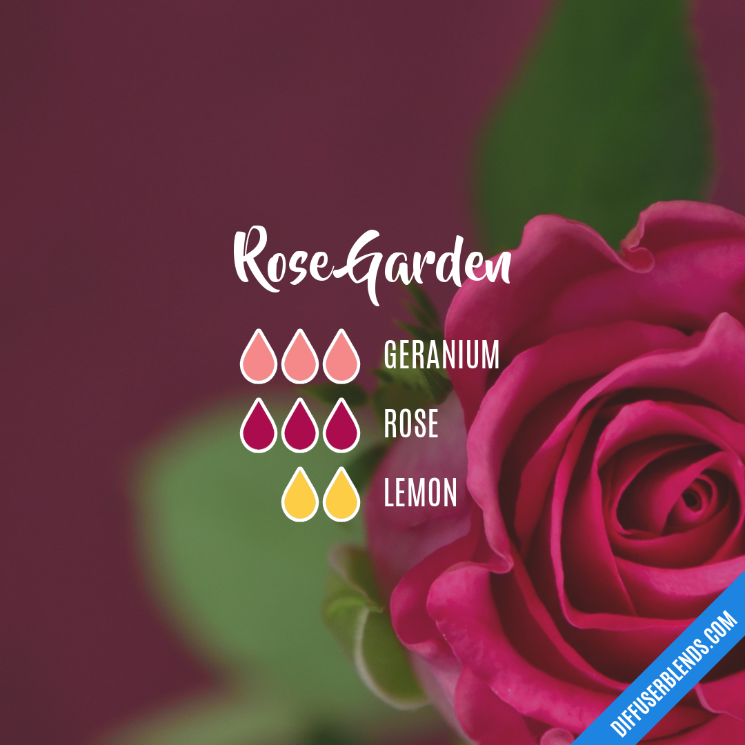 Rose Garden | DiffuserBlends.com