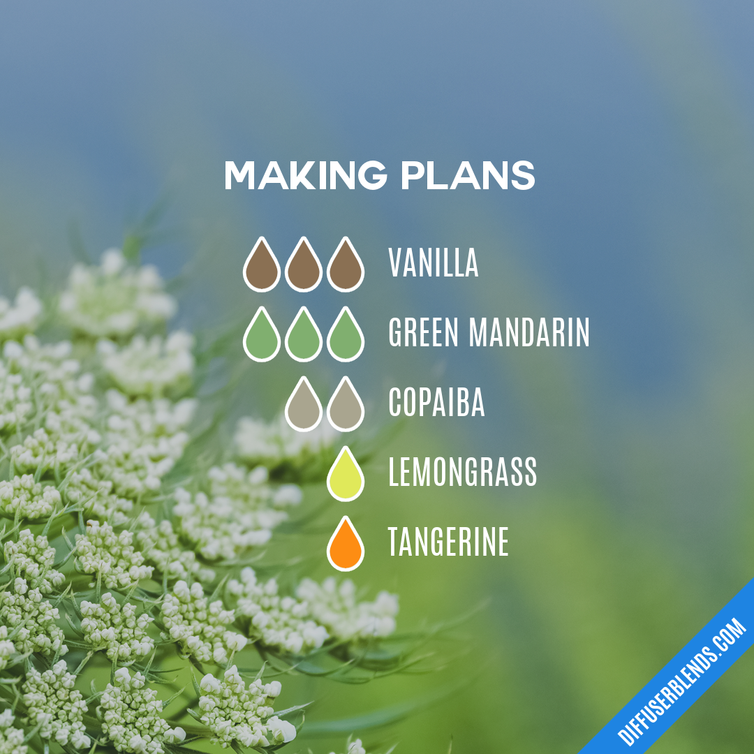 Making Plans | DiffuserBlends.com