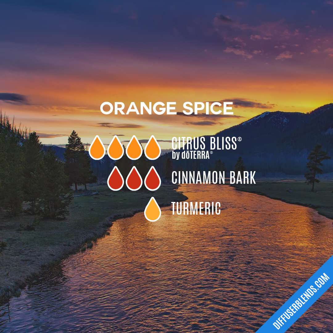 Orange Spice | DiffuserBlends.com
