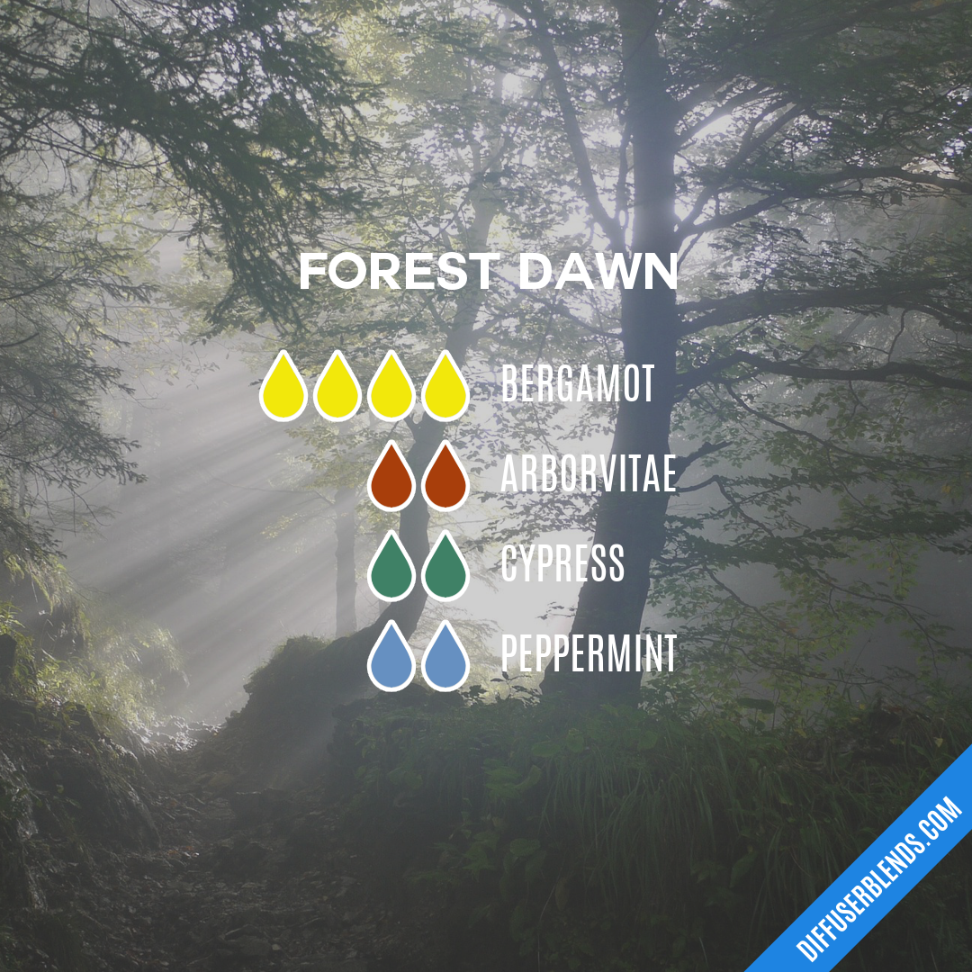 Forest Dawn | DiffuserBlends.com