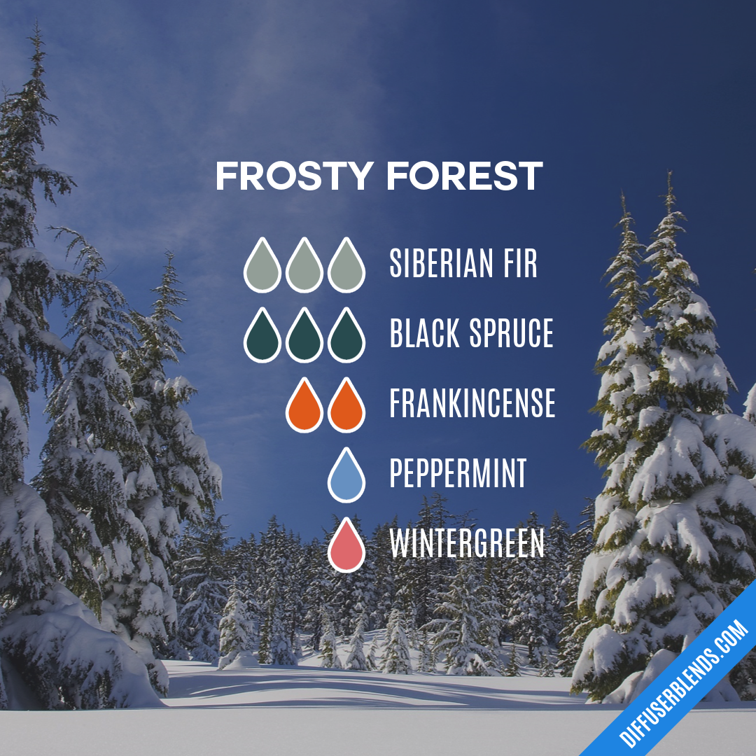 Frosty Forest | DiffuserBlends.com