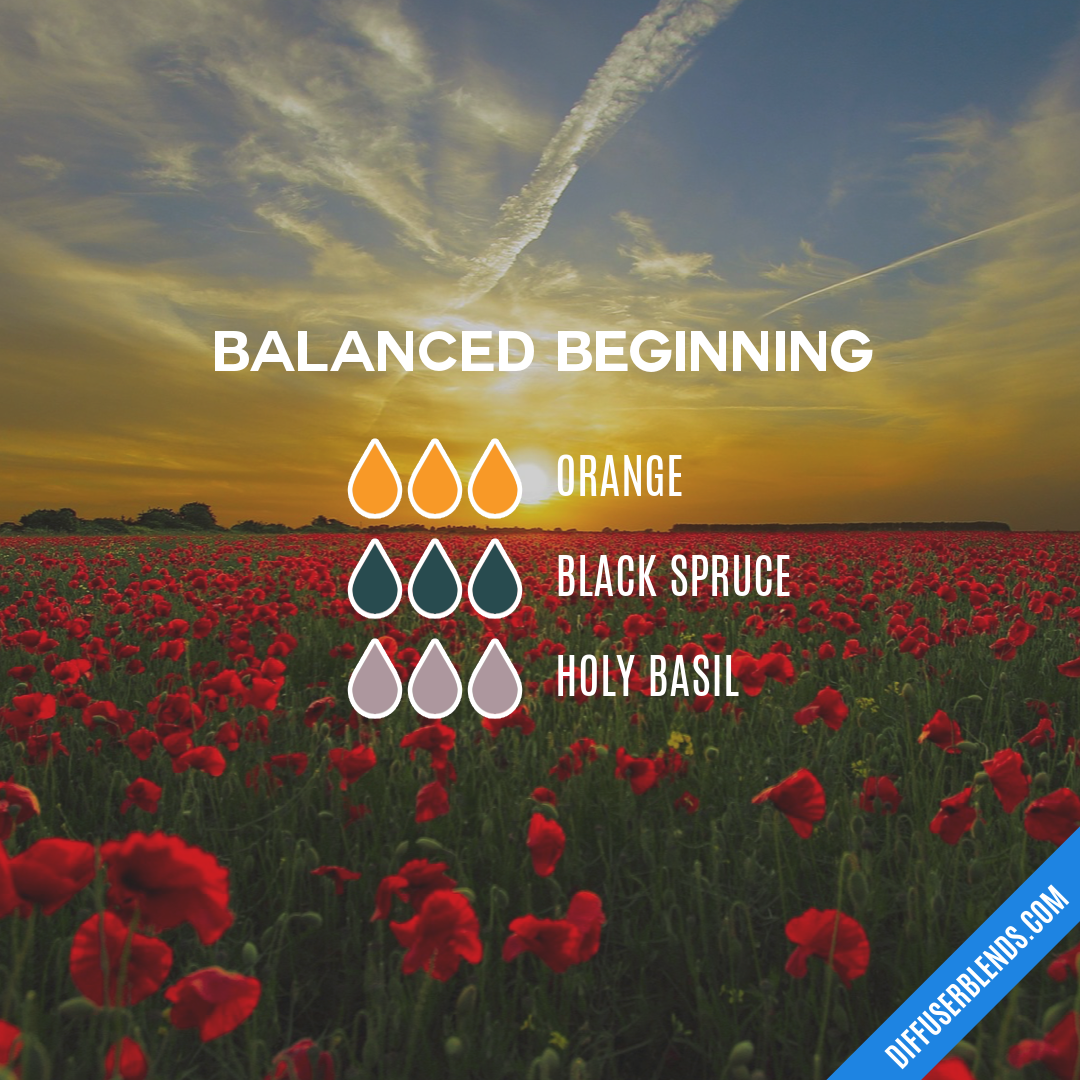 Balanced Beginning | DiffuserBlends.com