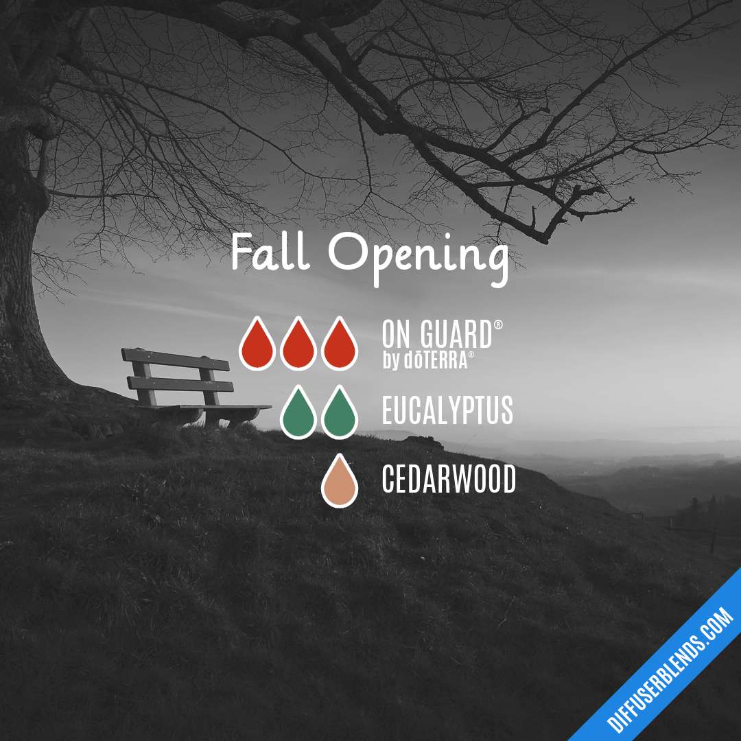 Fall Opening | DiffuserBlends.com