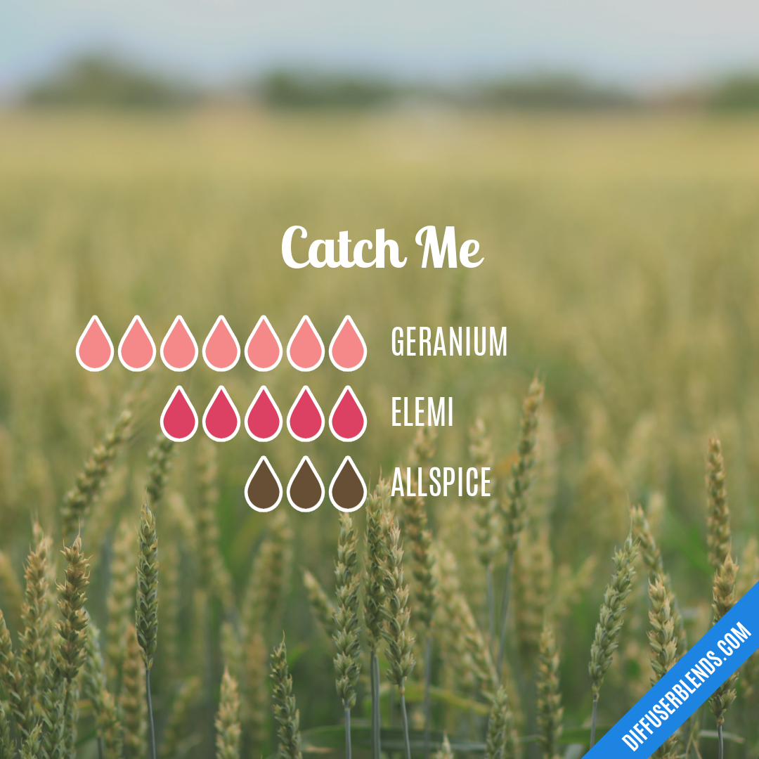 Catch Me | DiffuserBlends.com