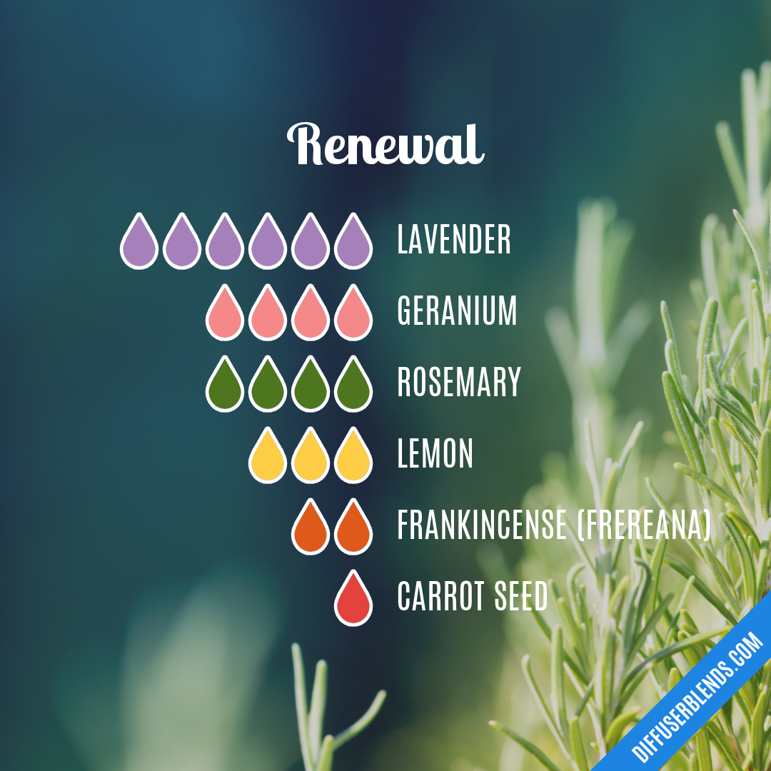 Renewal | DiffuserBlends.com